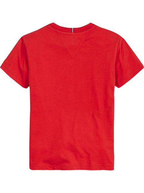 REMERA BÁSICA SLIM FIT - tommyargentina